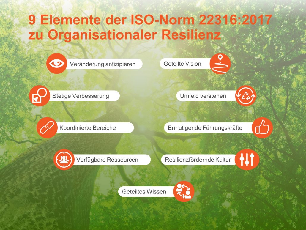 ISO Organisationale Resilienz_9 Schlüssel - Prof. Jutta Heller